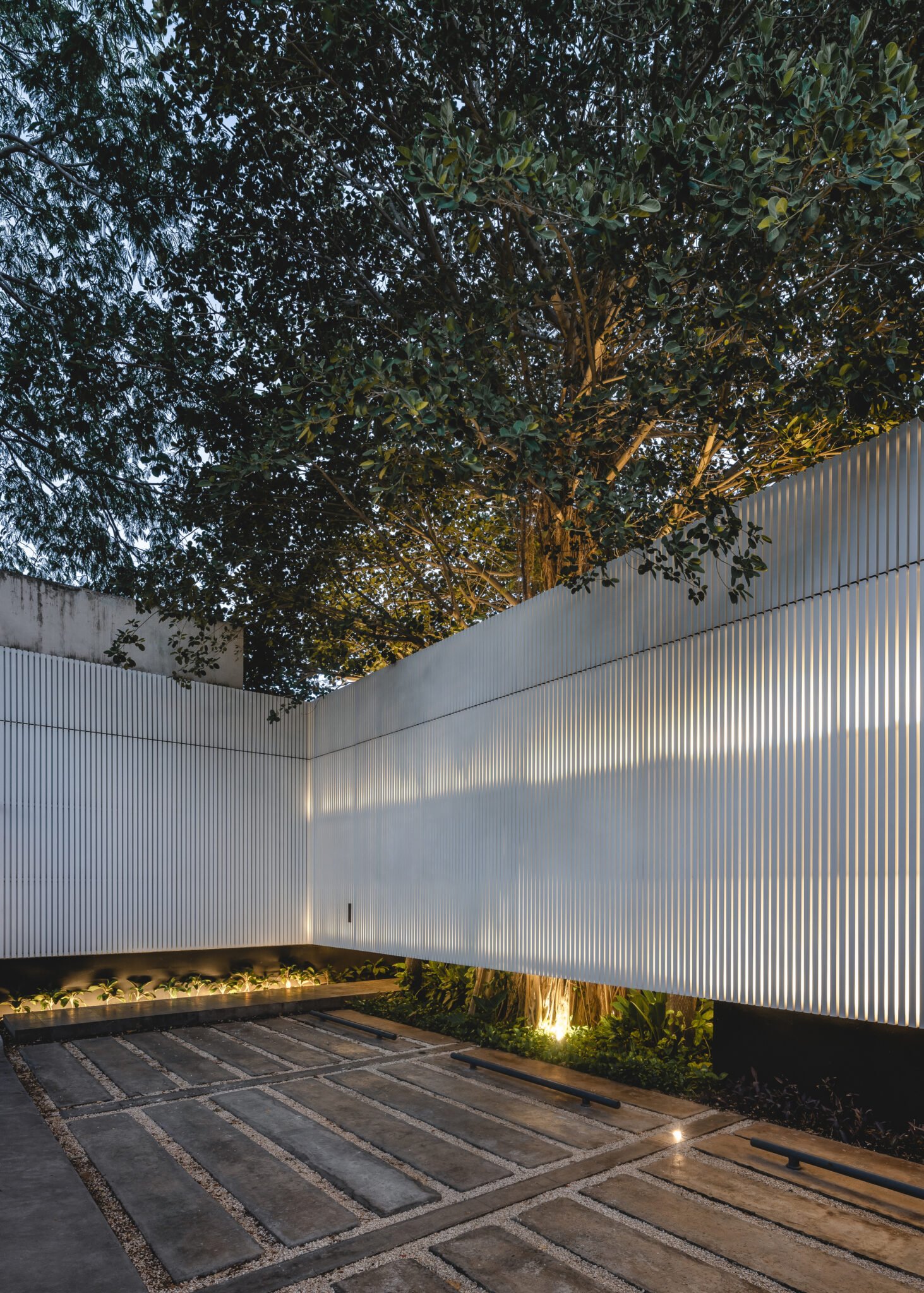 The Asylum — Arkham Projects (Mérida)