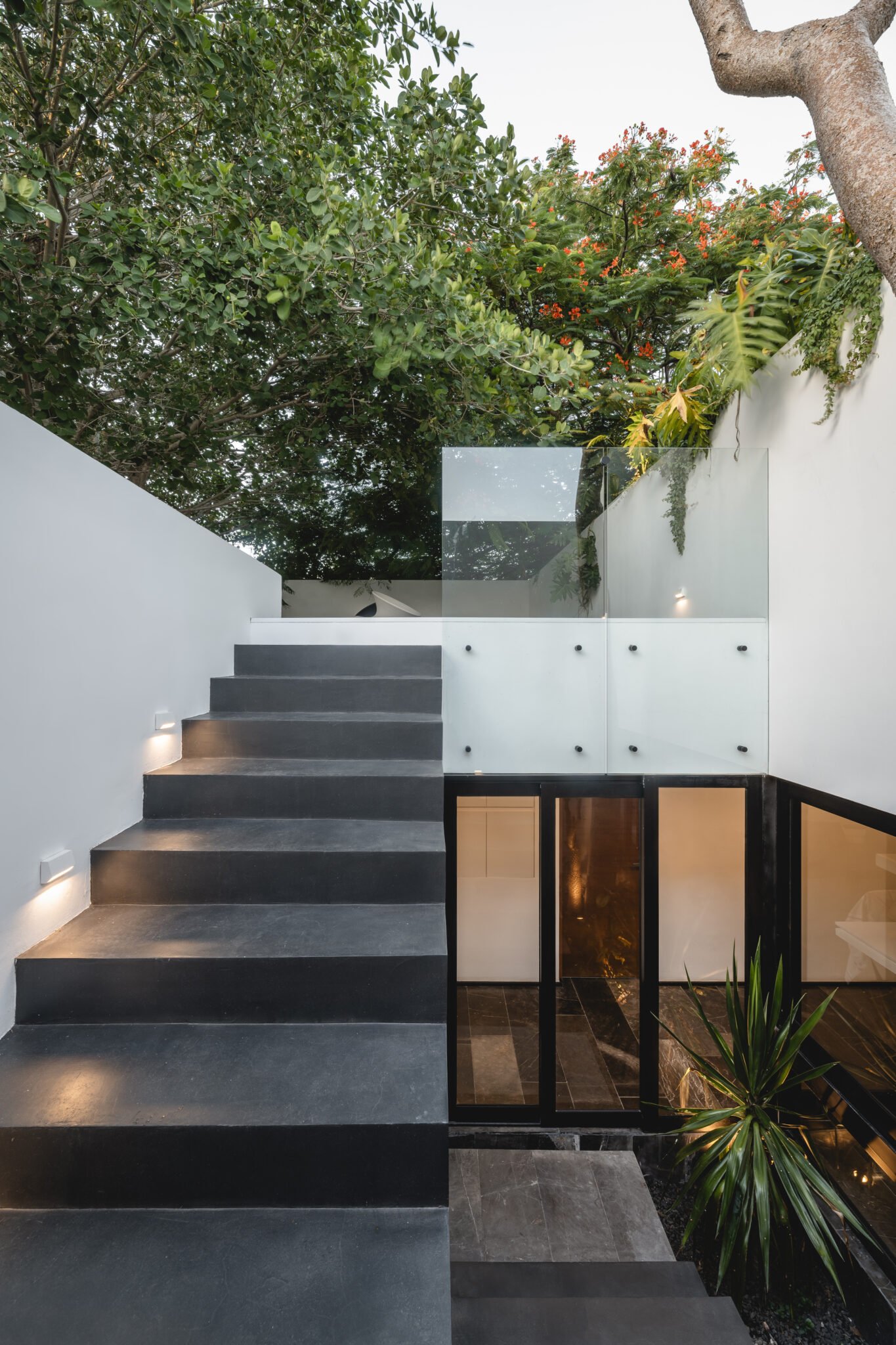 The Asylum — Arkham Projects (Mérida)
